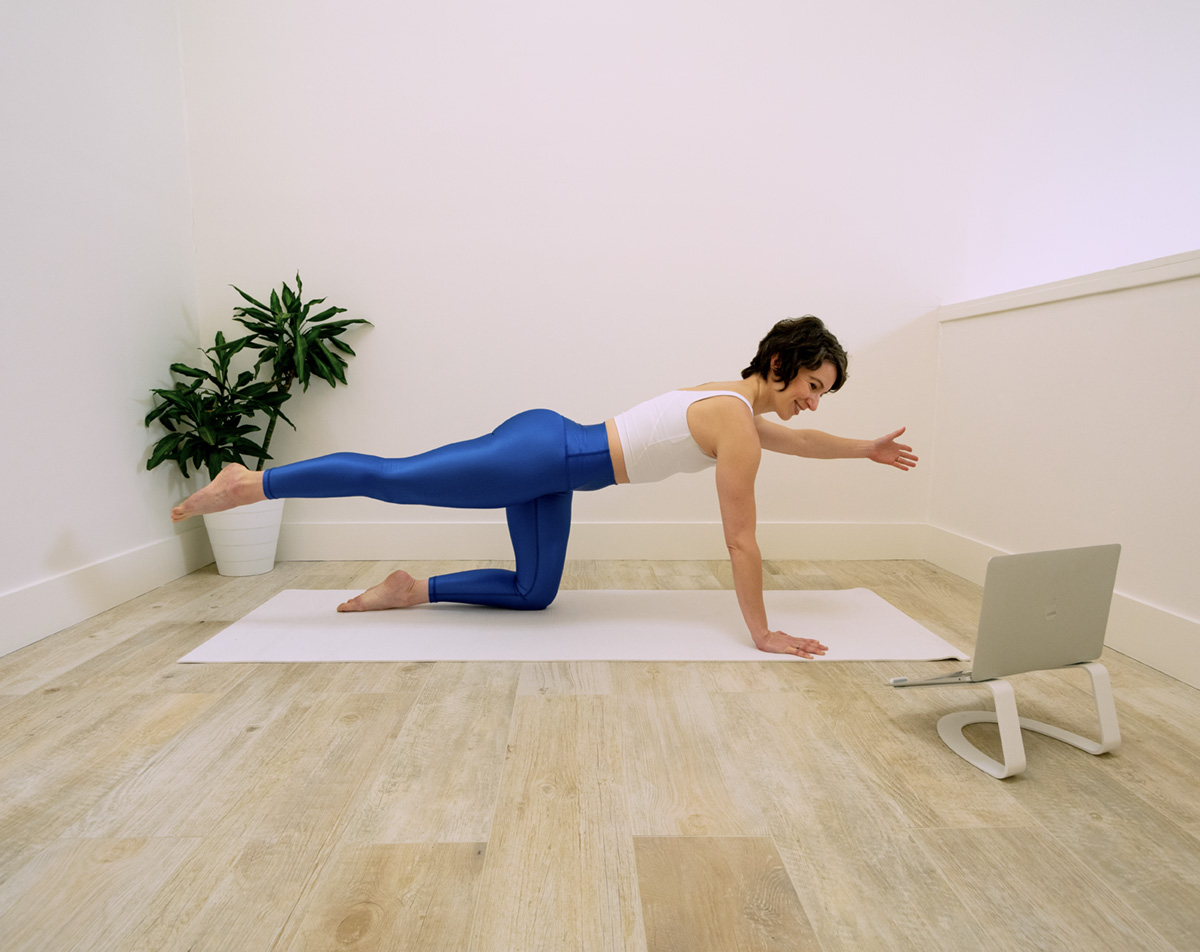 Virtual Movement Consult - Root & Limb Pilates